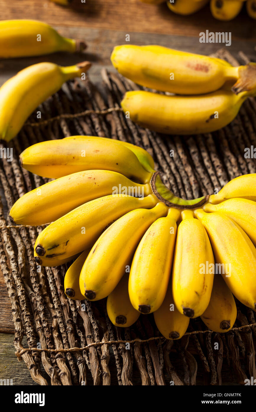 Raw Organic Yellow Baby Bananas in a Bunch Stock Photo - Alamy