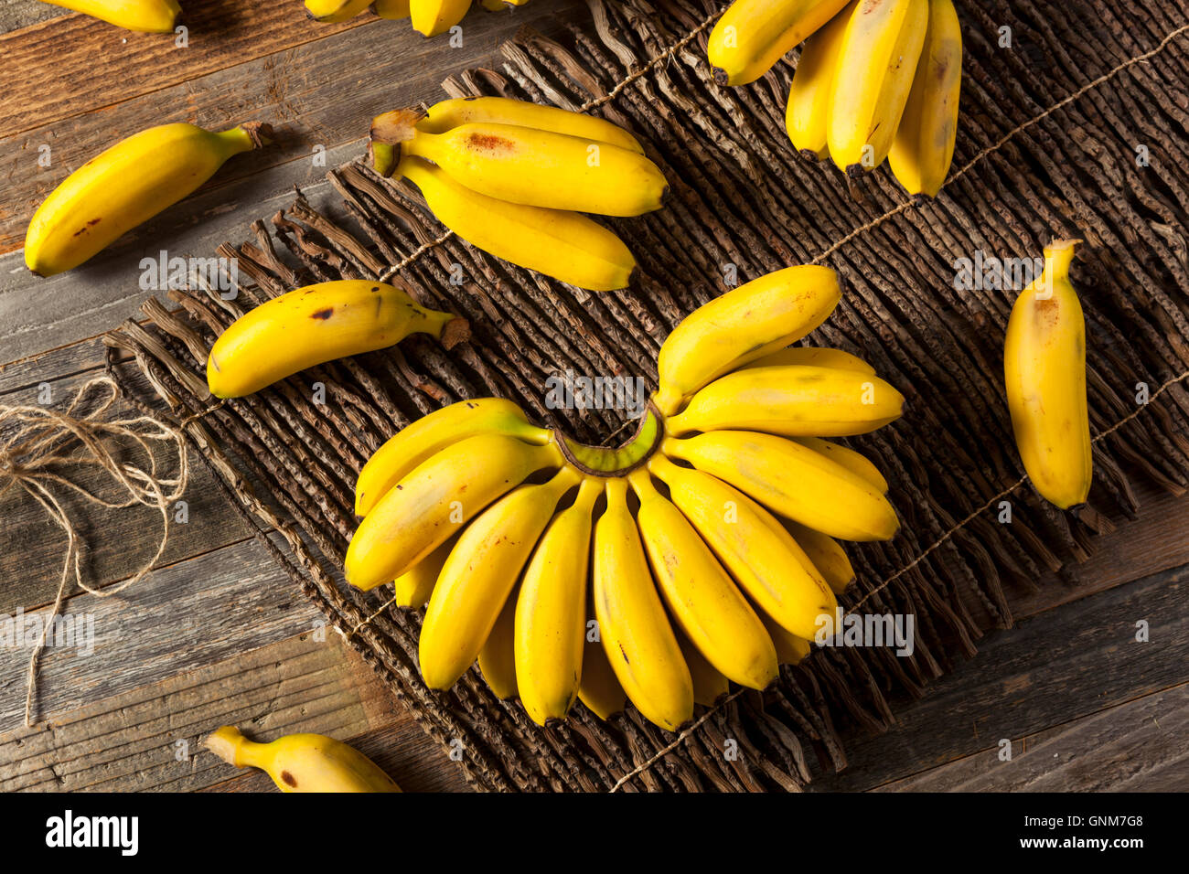 Raw Organic Yellow Baby Bananas in a Bunch Stock Photo - Alamy