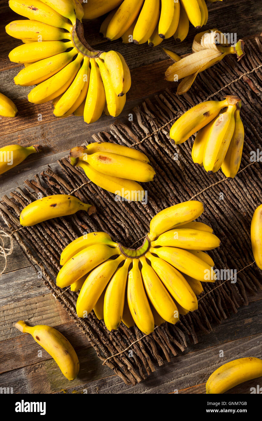 Raw Organic Yellow Baby Bananas in a Bunch Stock Photo - Alamy