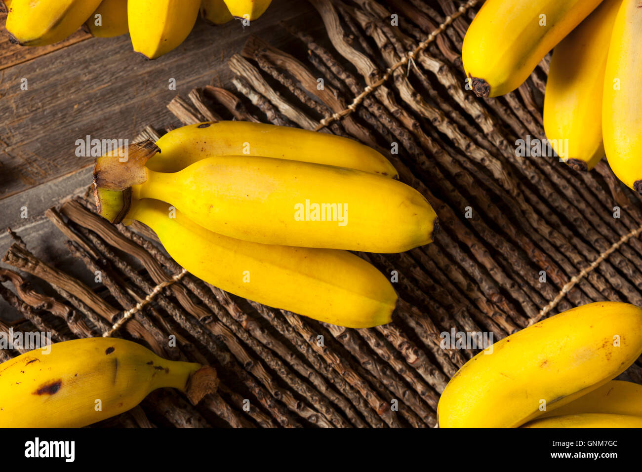 Raw Organic Yellow Baby Bananas in a Bunch Stock Photo - Alamy