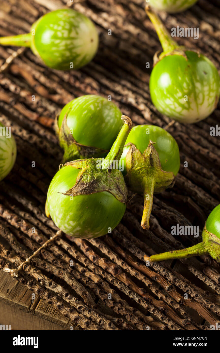Raw Green Thai Eggplants Ready for Cooking Stock Photo - Alamy