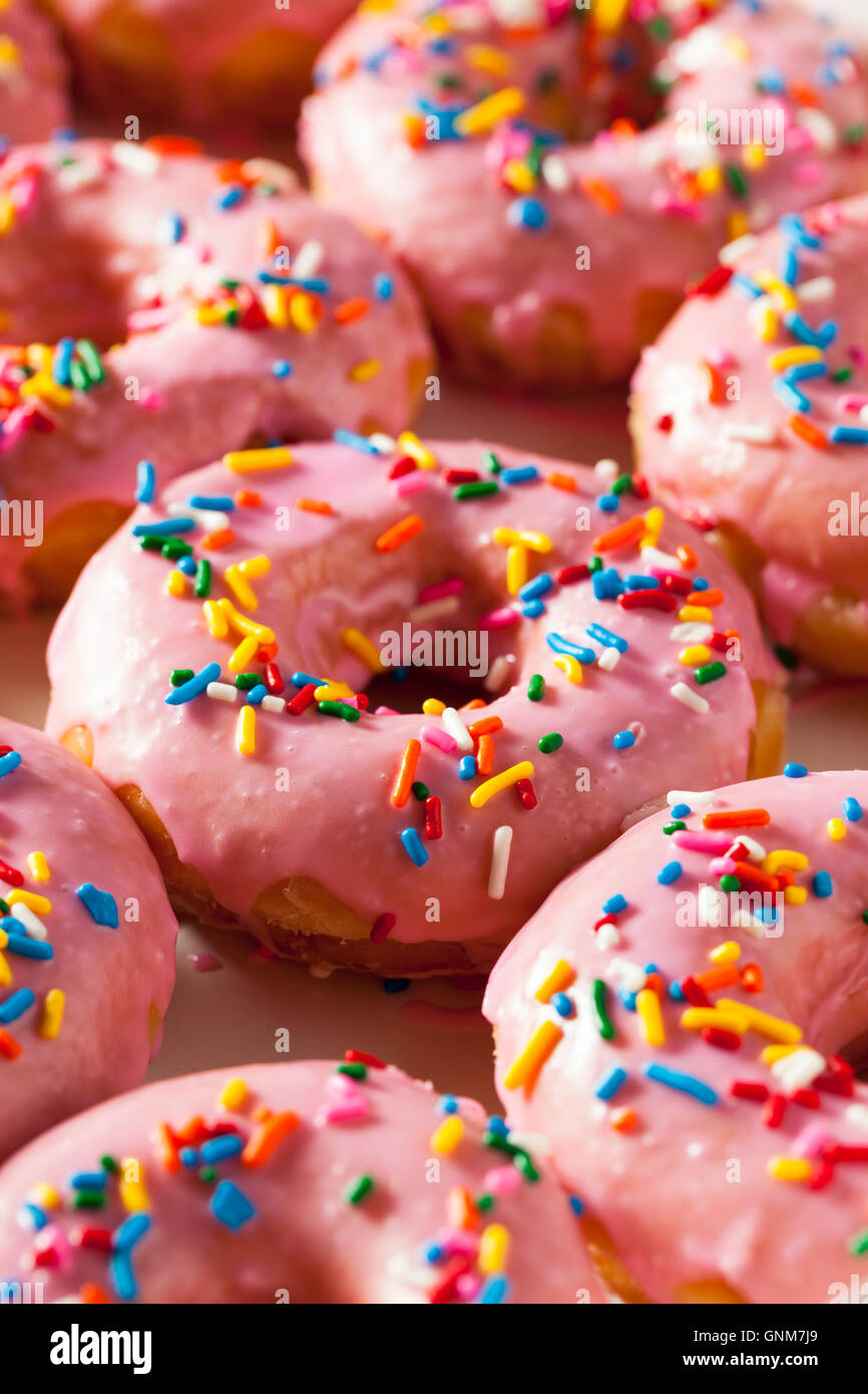 Pink Doughnut