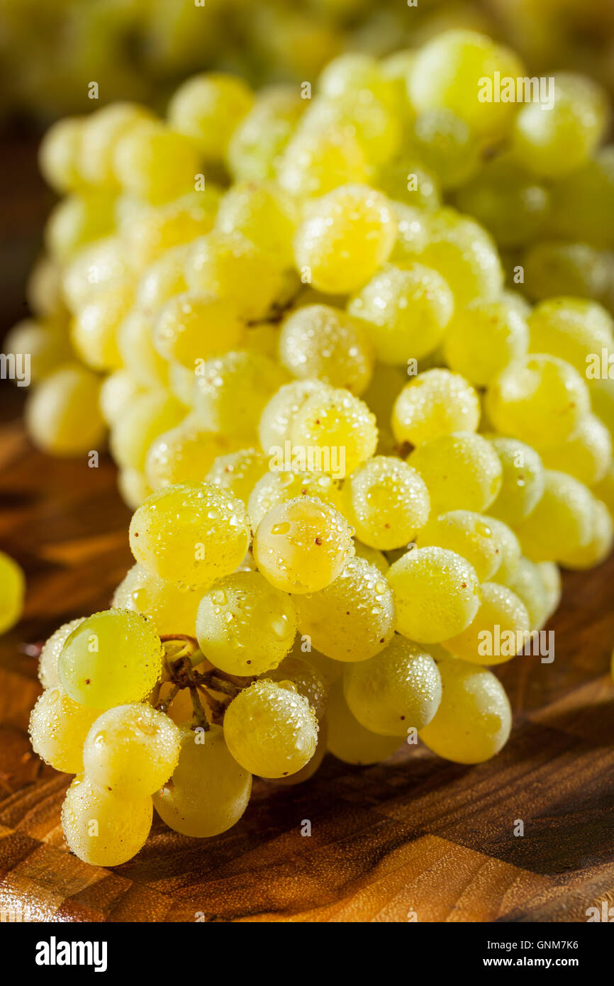 Raw Green Organic Champagne Grapes Ready to Eat Stock Photo - Alamy