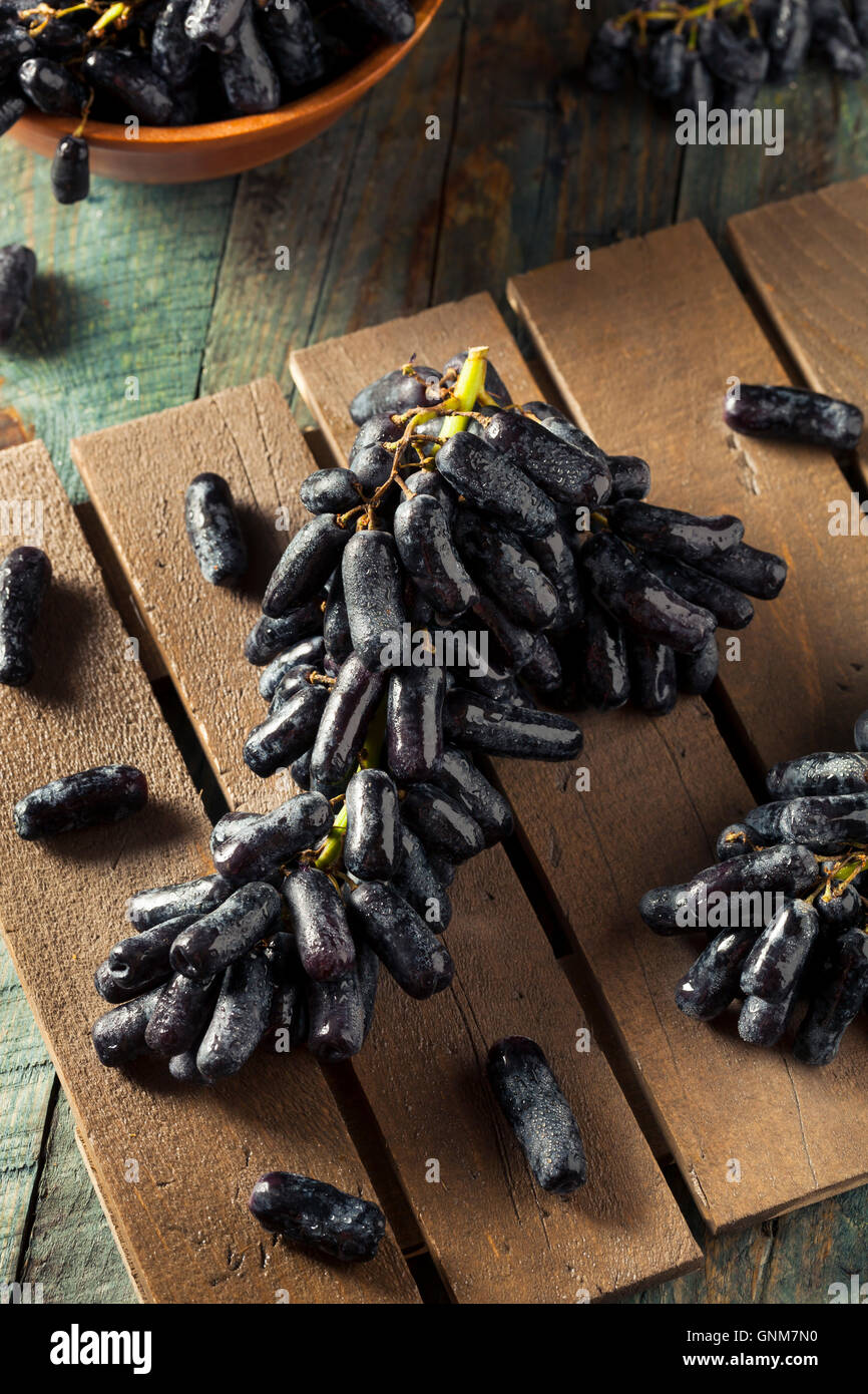 Raw Organic Long Purple Grapes Ready to Eat Stock Photo - Alamy