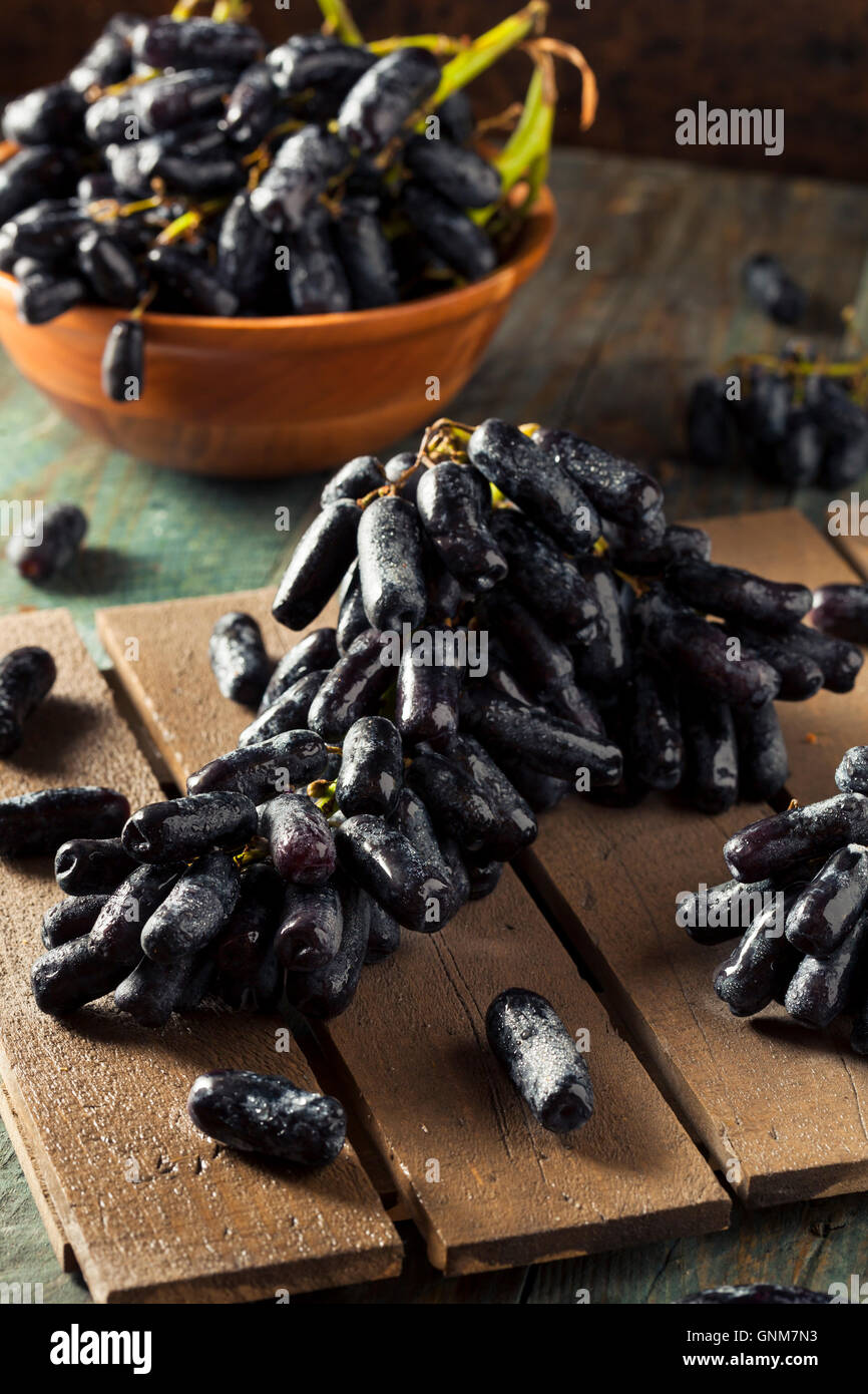 Raw Organic Long Purple Grapes Ready to Eat Stock Photo - Alamy