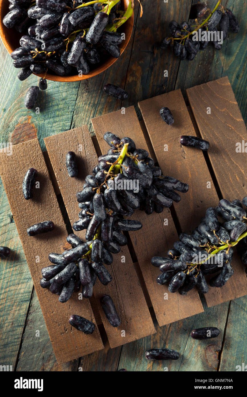 Raw Organic Long Purple Grapes Ready to Eat Stock Photo - Alamy