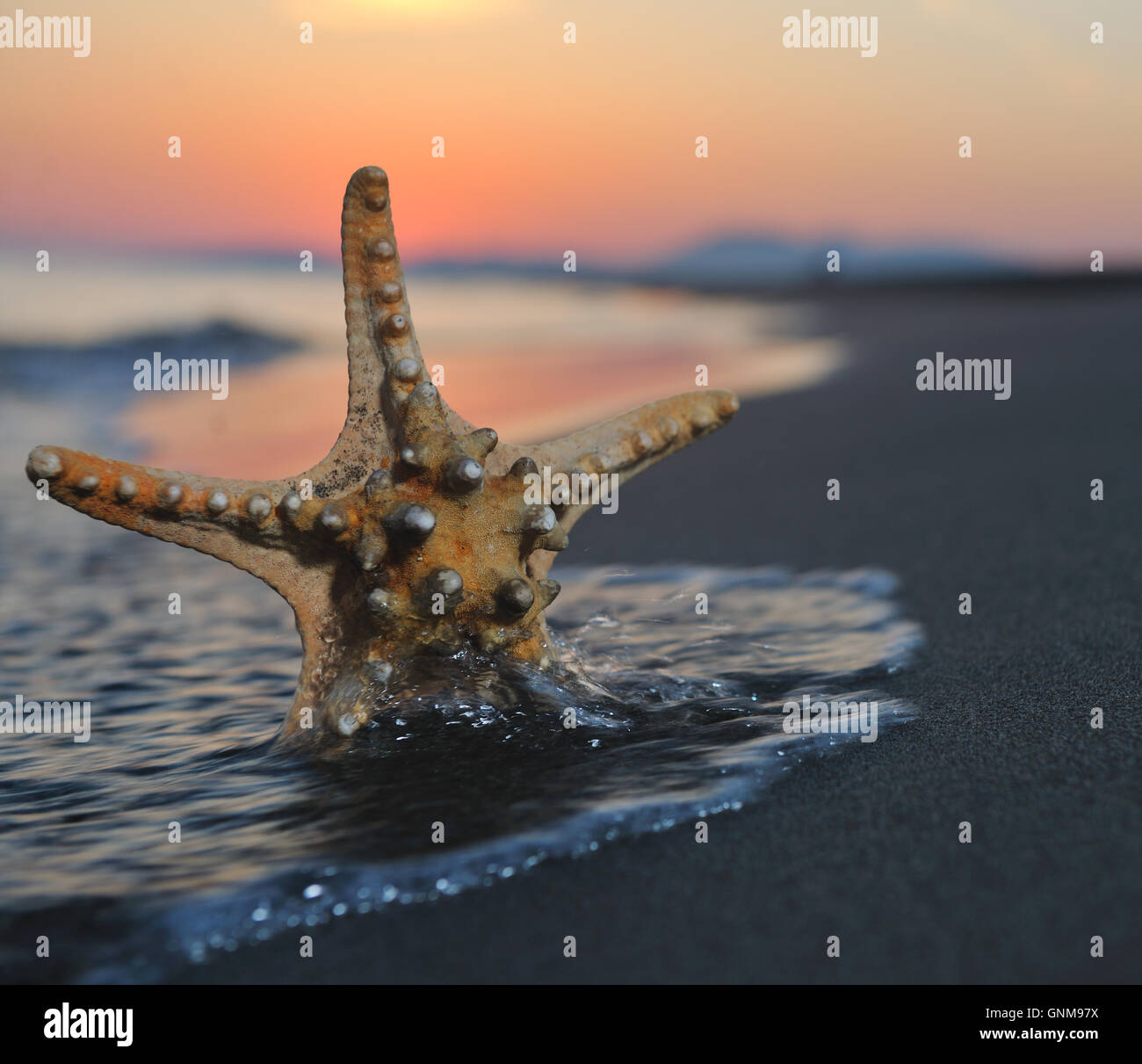 summer beach sunset with star on beach Stock Photo - Alamy