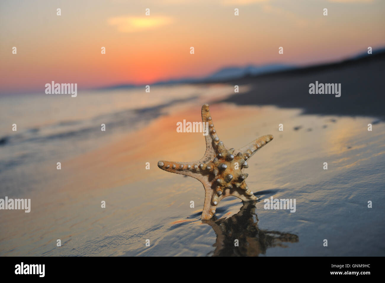 summer beach sunset with star on beach Stock Photo - Alamy