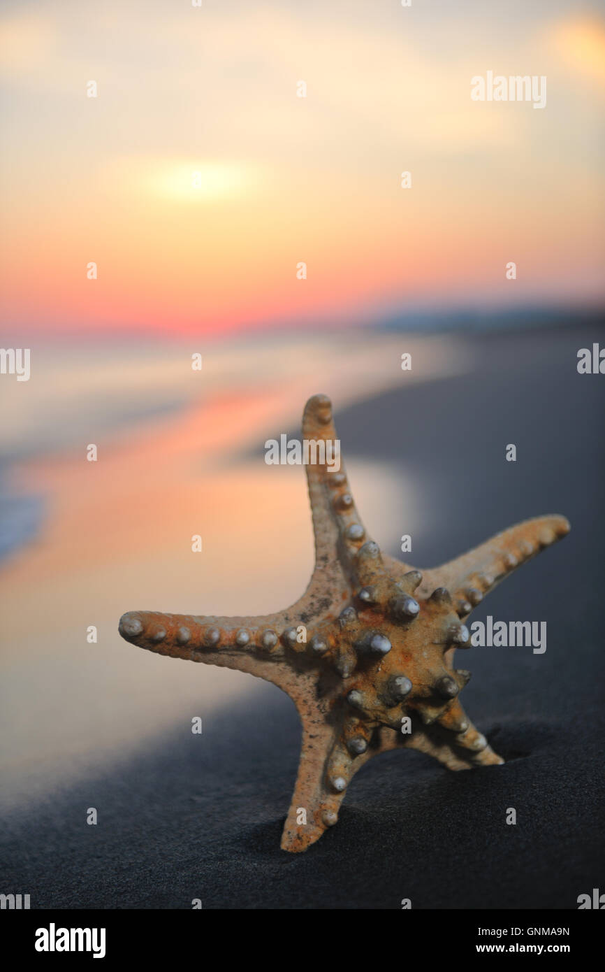 summer beach sunset with star on beach Stock Photo - Alamy