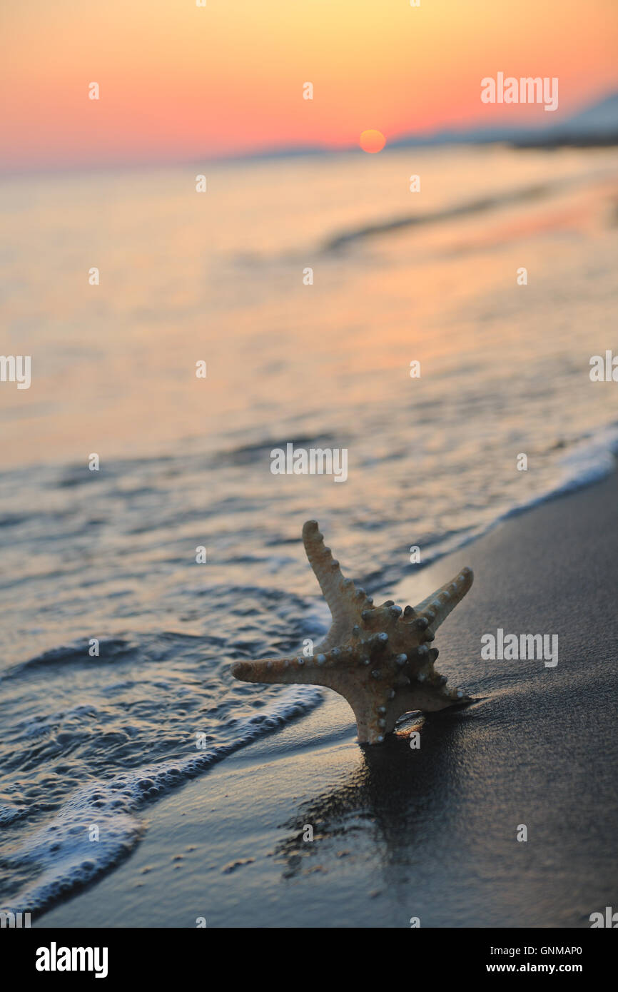 summer beach sunset with star on beach Stock Photo - Alamy