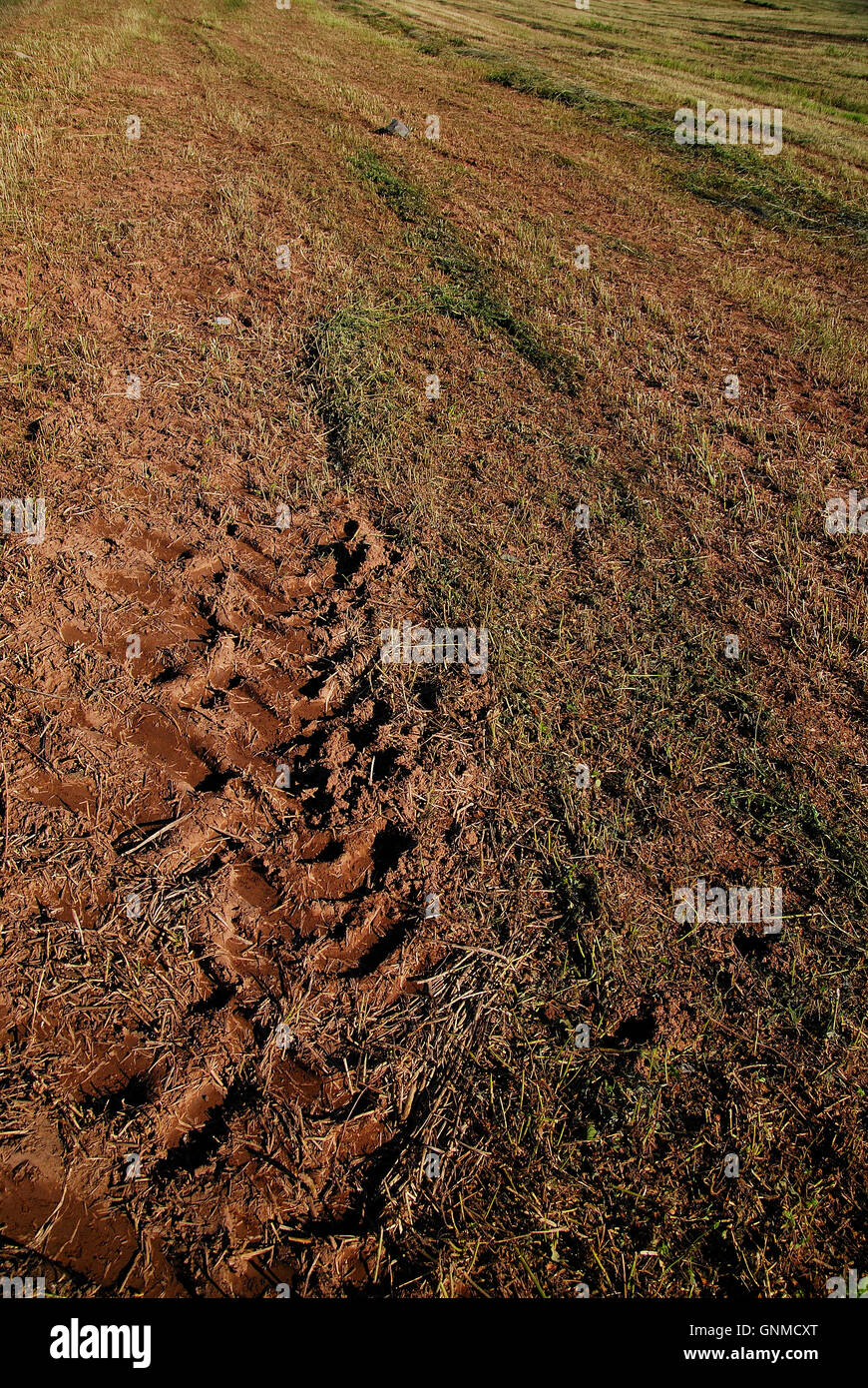 tractor trail on ground Stock Photo - Alamy