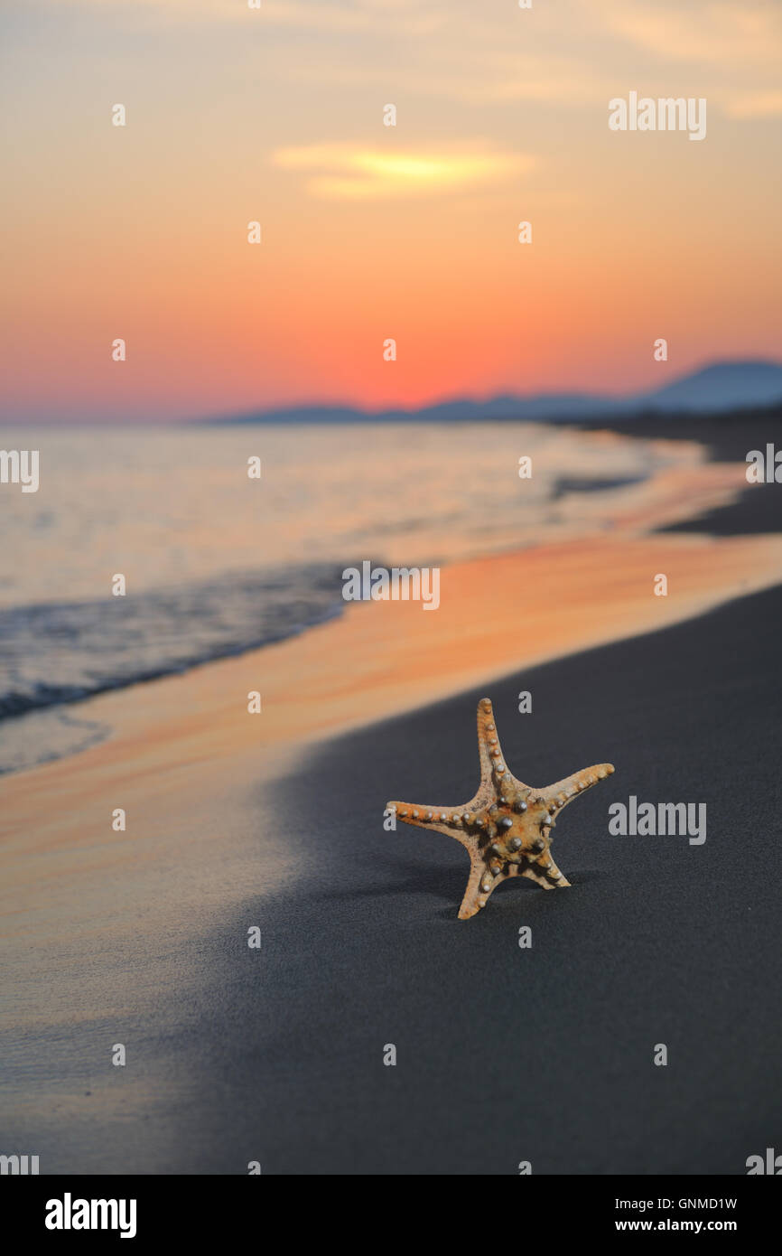 summer beach sunset with star on beach Stock Photo - Alamy
