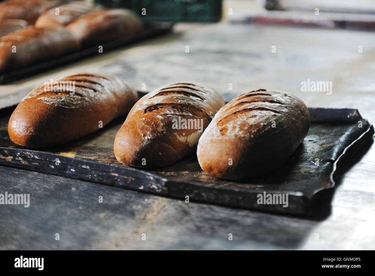 bread factory production Stock Photo - Alamy