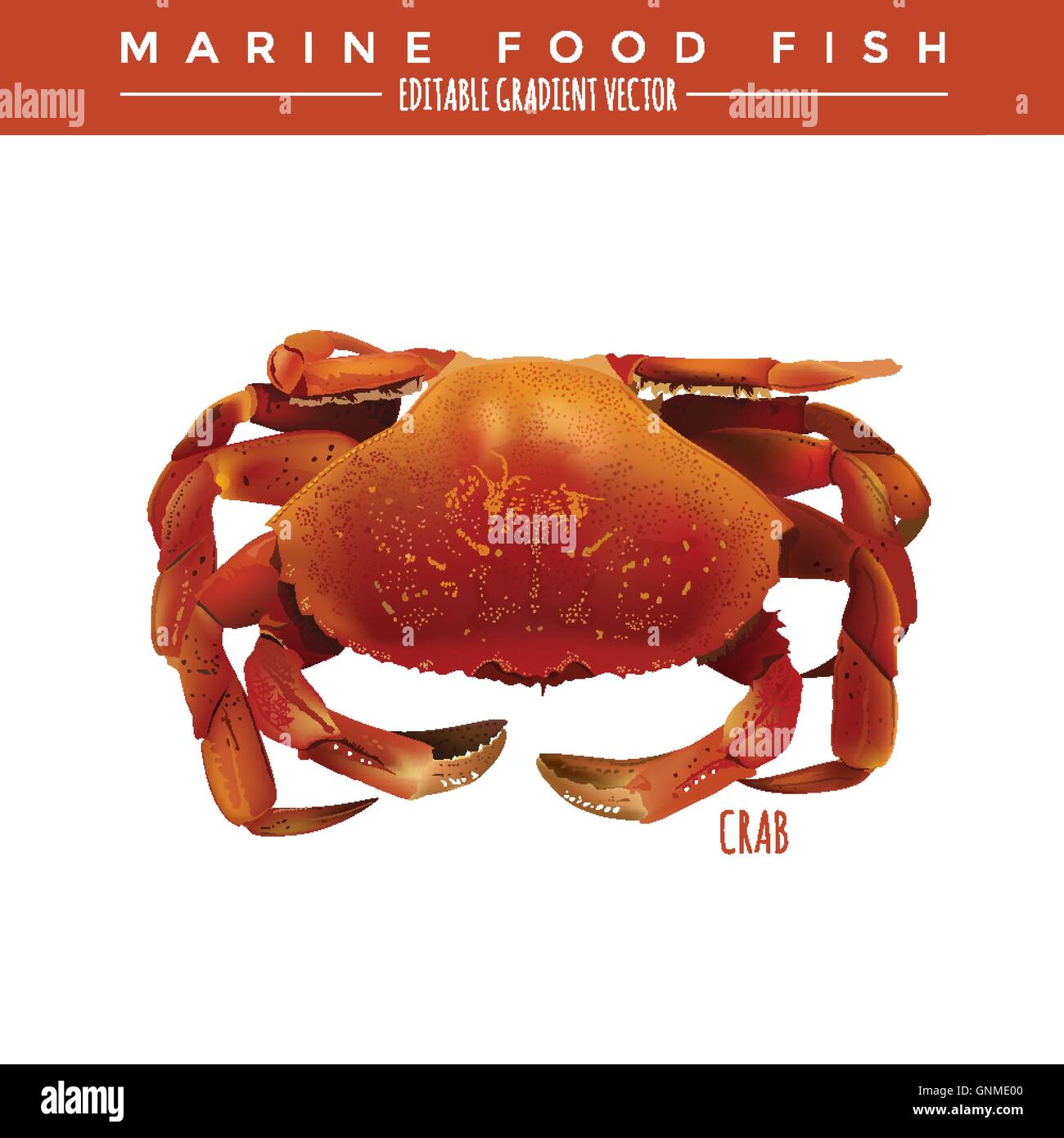 Crab. Marine Food Fish Stock Vector Image & Art - Alamy