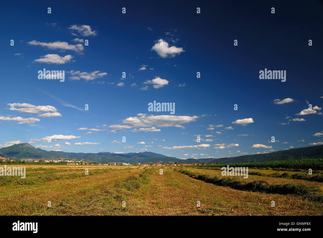 sunny day and dramatic sky Stock Photo - Alamy