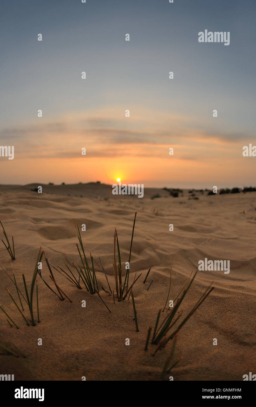 beautiful sunset in desert Stock Photo - Alamy