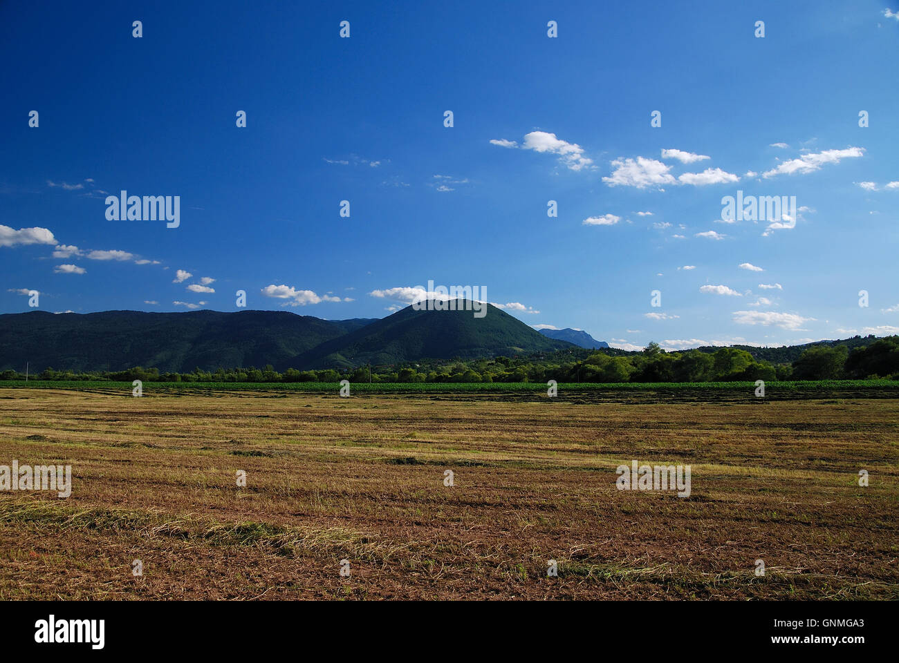 sunny day and dramatic sky Stock Photo - Alamy