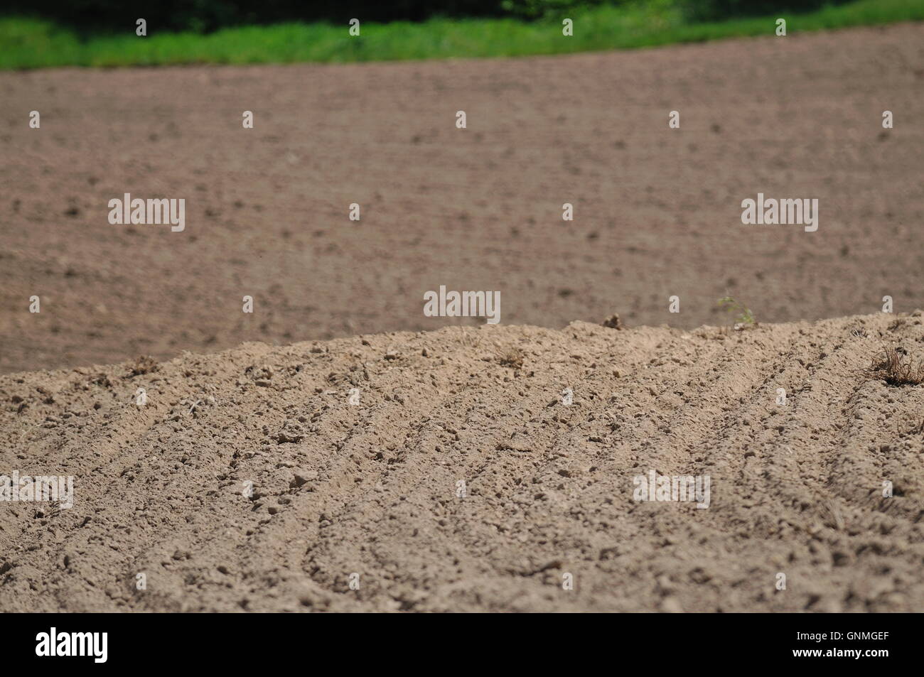rural field farming Stock Photo - Alamy