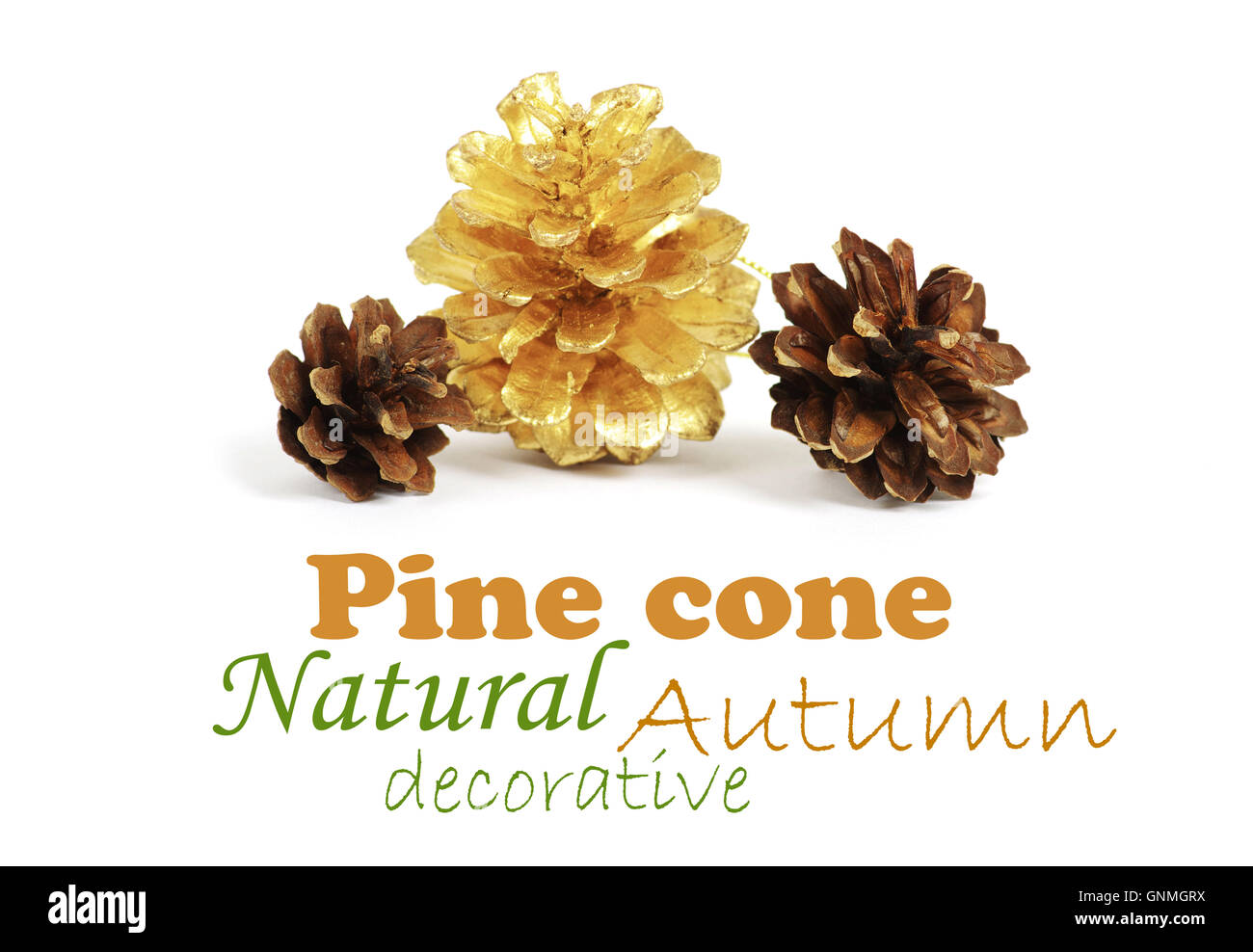 two pine cones and one golden cone over white background with sh Stock ...