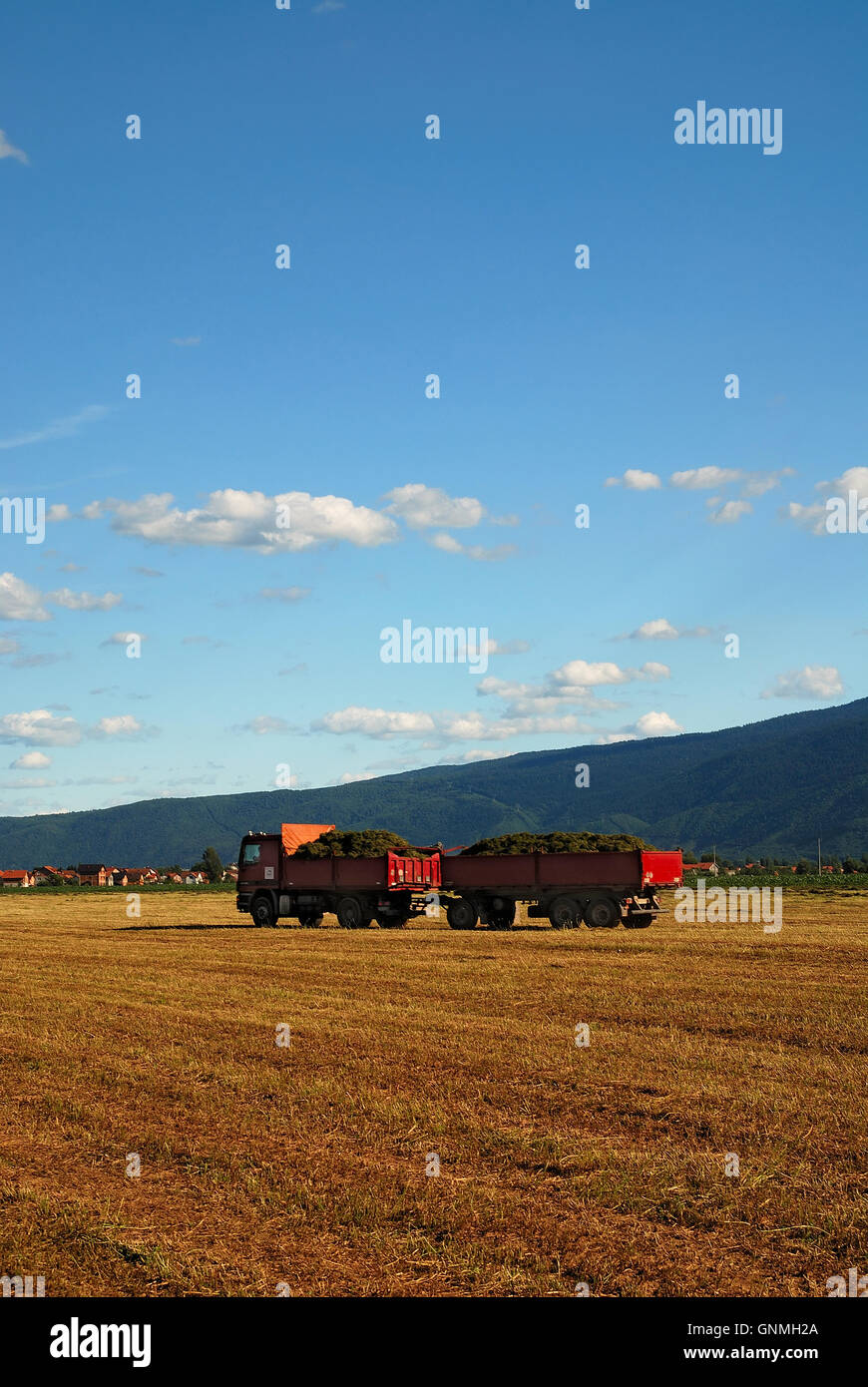 truck on field Stock Photo - Alamy