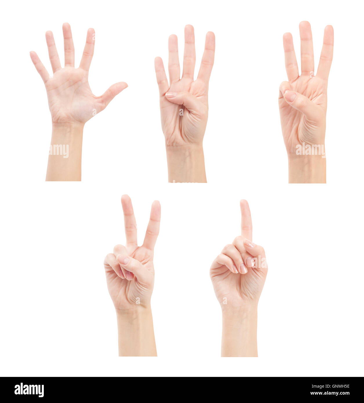 Counting woman hands (1 to 5) isolated on white background Stock Photo ...