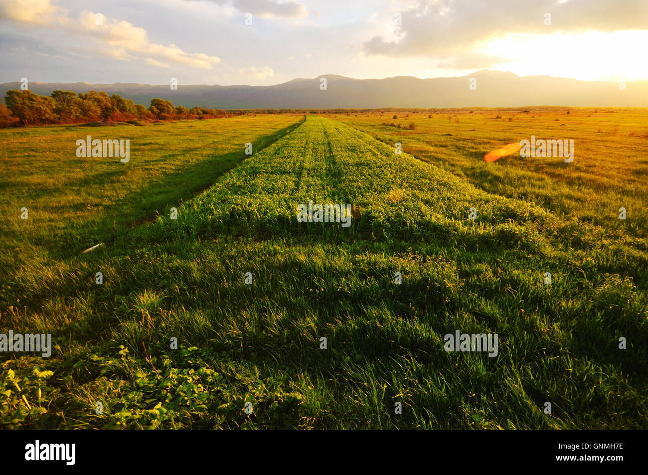 beautiful sunset in nature Stock Photo - Alamy
