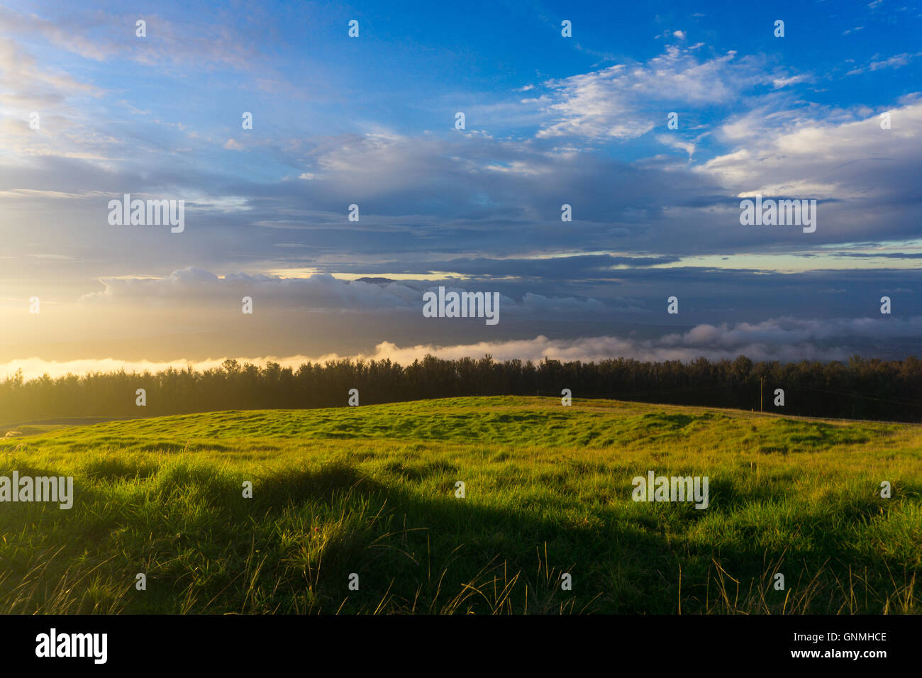 Rain clouds over plain hi-res stock photography and images - Alamy