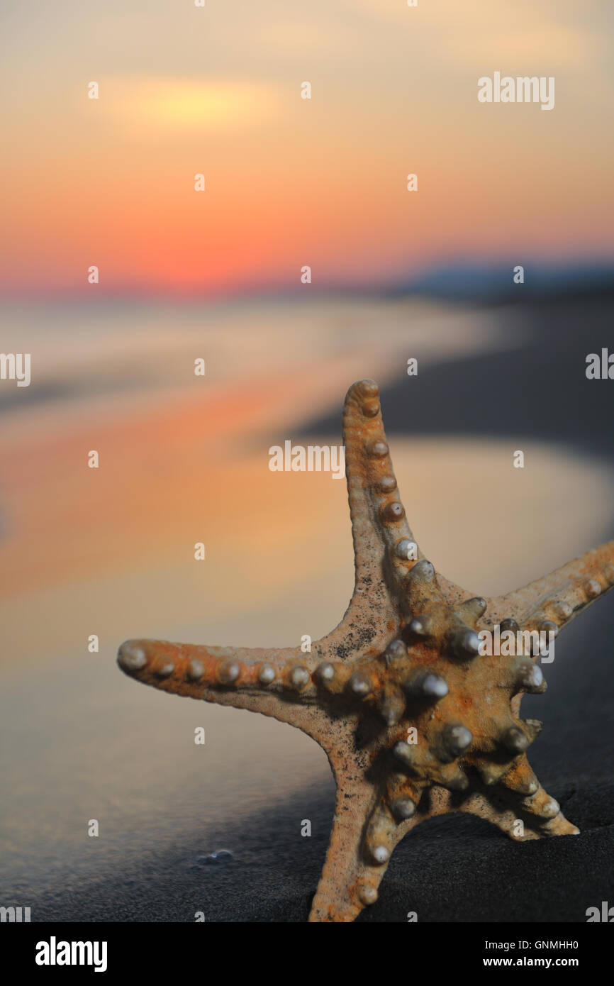 summer beach sunset with star on beach Stock Photo - Alamy
