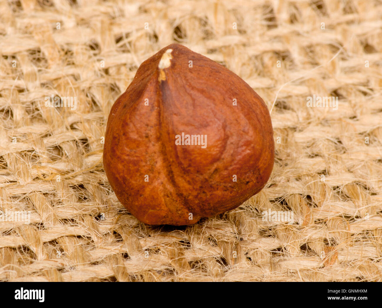 Hazelnuts on burlap background Stock Photo - Alamy