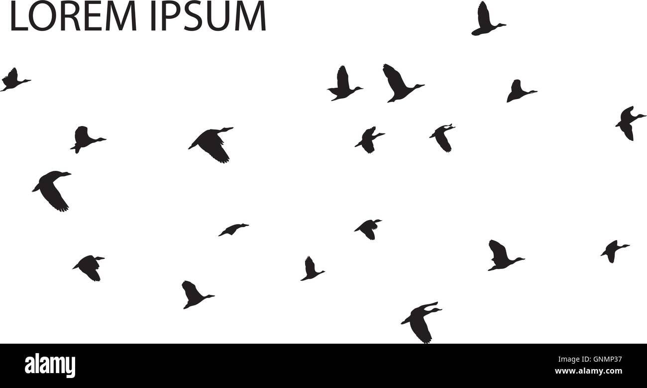 Birds migration formation Stock Vector Images - Alamy
