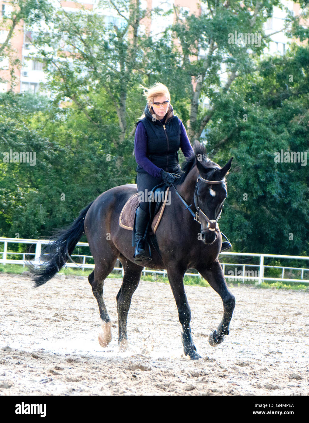 Girl riding a horse Stock Photo - Alamy