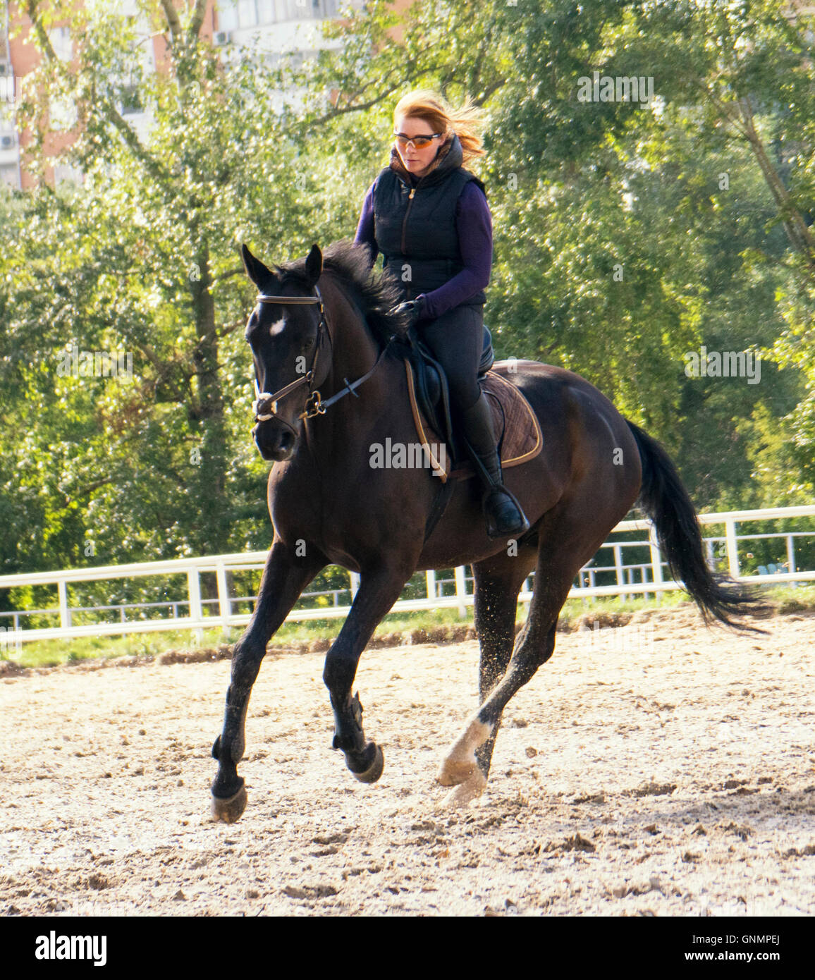 Girl riding a horse Stock Photo - Alamy