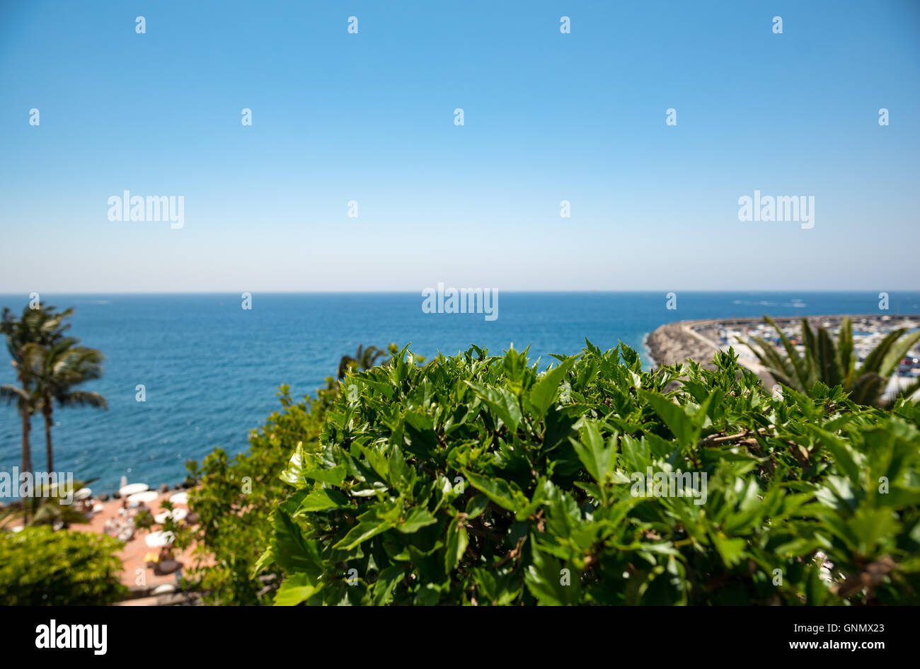 Landscape view of grass sea and sky Stock Photo - Alamy