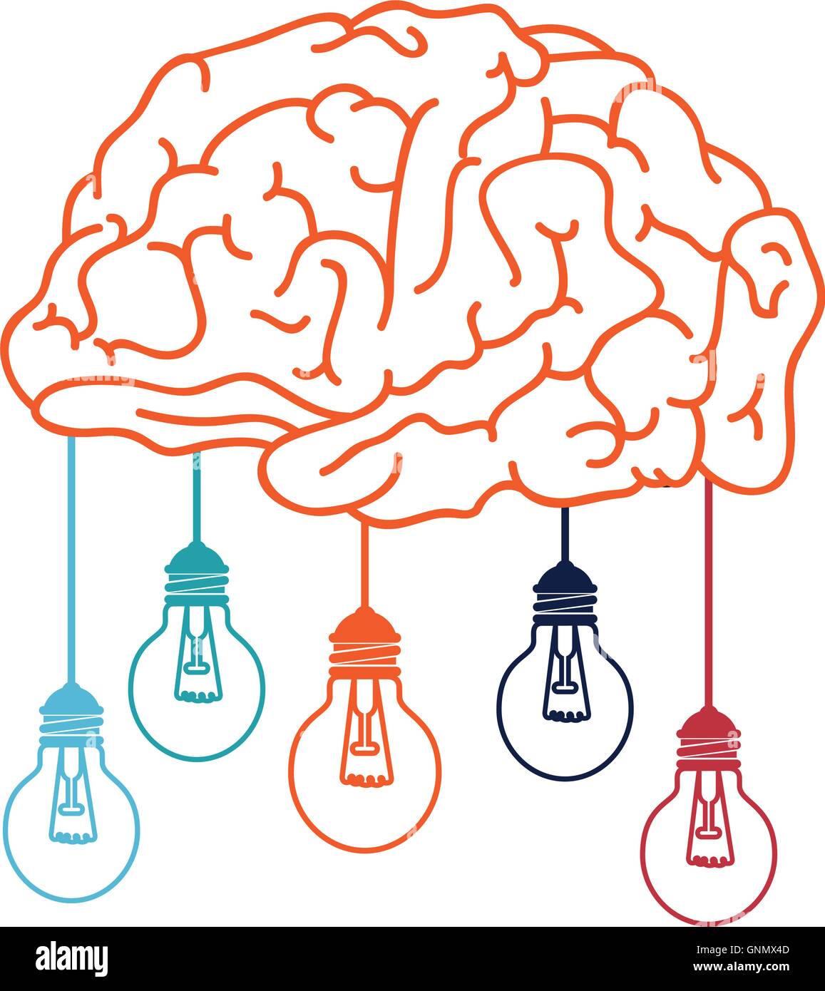 human brain organ bulb Stock Vector Image & Art - Alamy