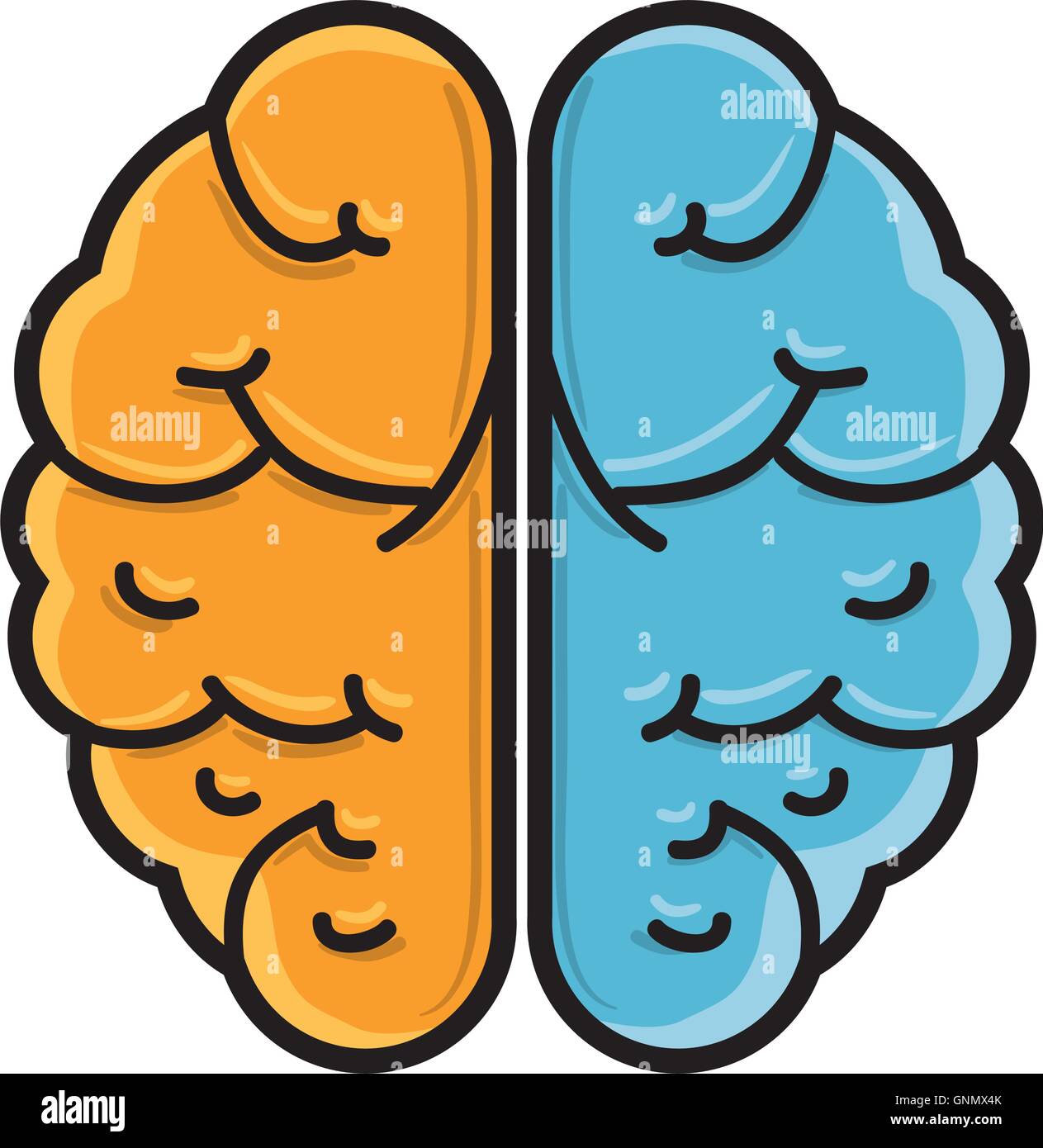 human brain organ Stock Vector Image & Art - Alamy