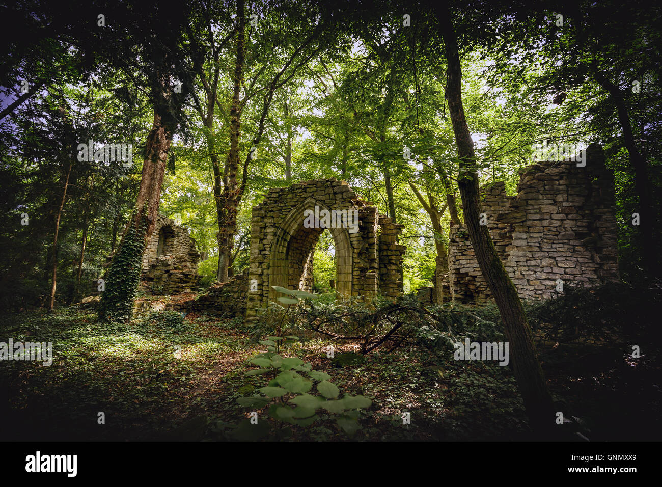 Stone ruins in a forest, abandoned ancient castle Stock Photo - Alamy