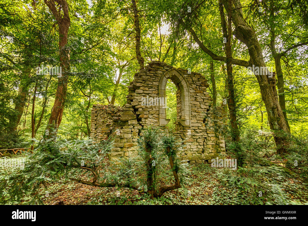 Ruins In The Forest