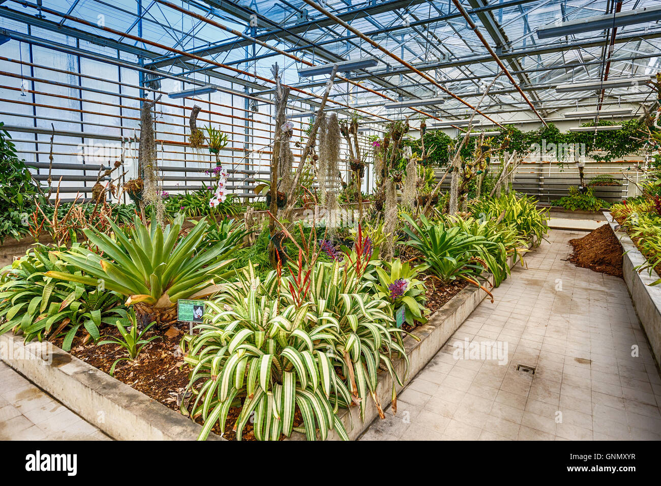 Interior of greenhouse hi-res stock photography and images - Alamy