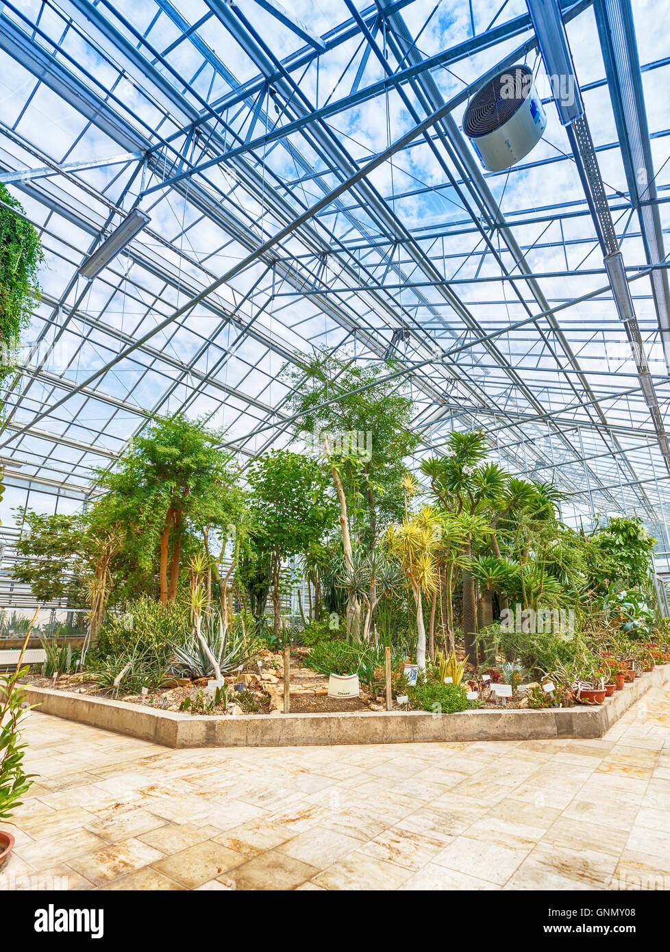 Tropical Plants in greenhouse at botanic garden Stock Photo - Alamy