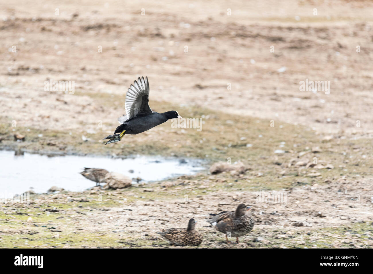 Flying over land hi-res stock photography and images - Alamy