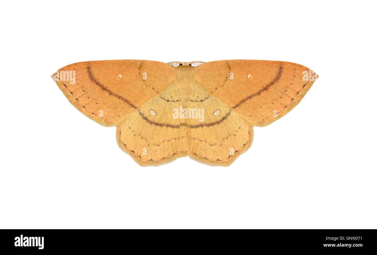 Triple lines Cut Out Stock Images & Pictures - Alamy