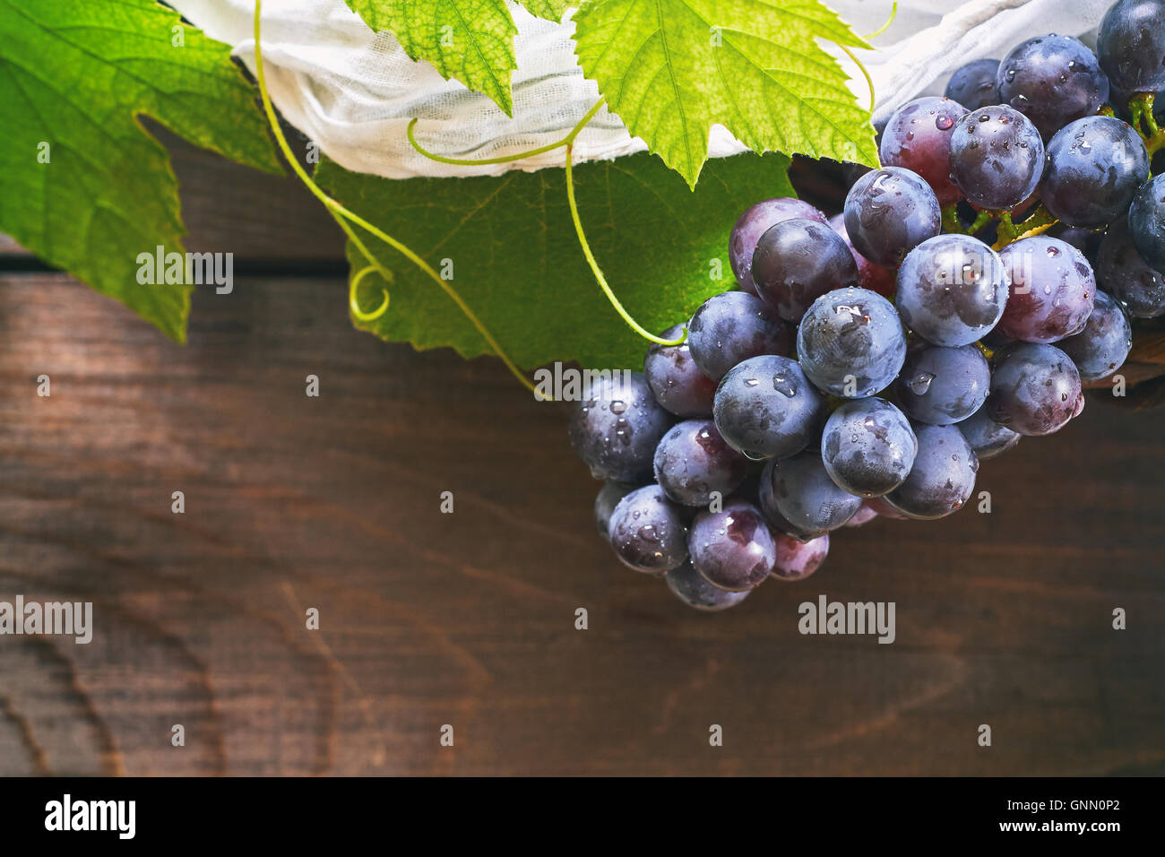 Grapes border hi-res stock photography and images - Alamy