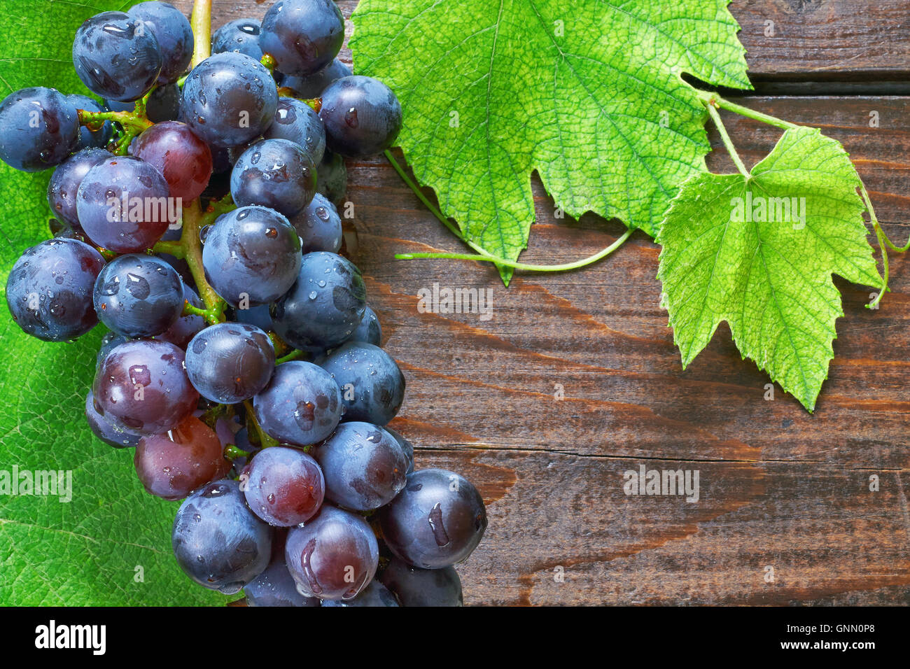 Overhead grapevine hi-res stock photography and images - Alamy