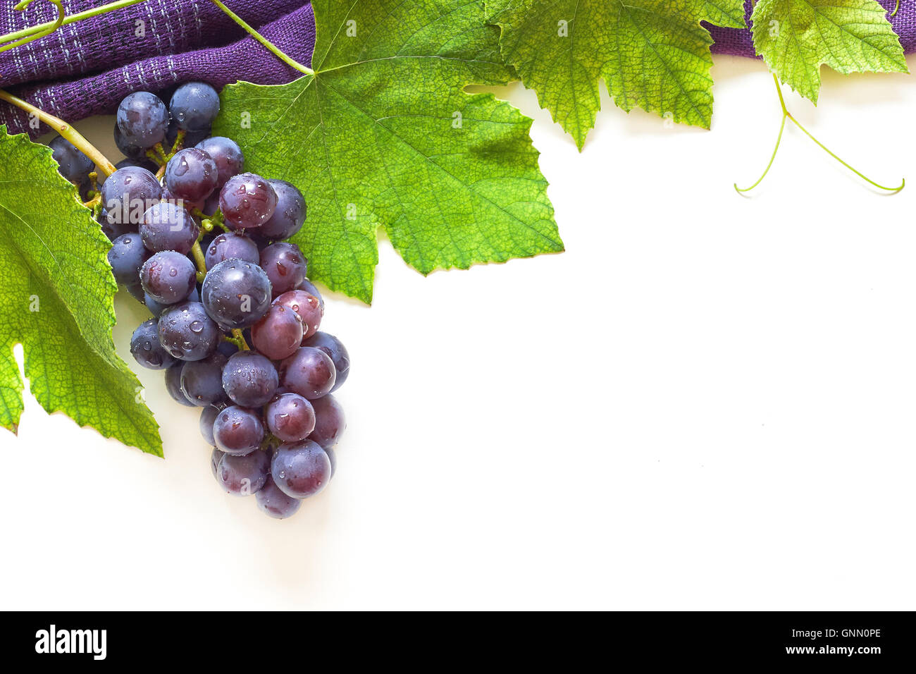 Grapes with grapevine arranged as a top frame around white background ...