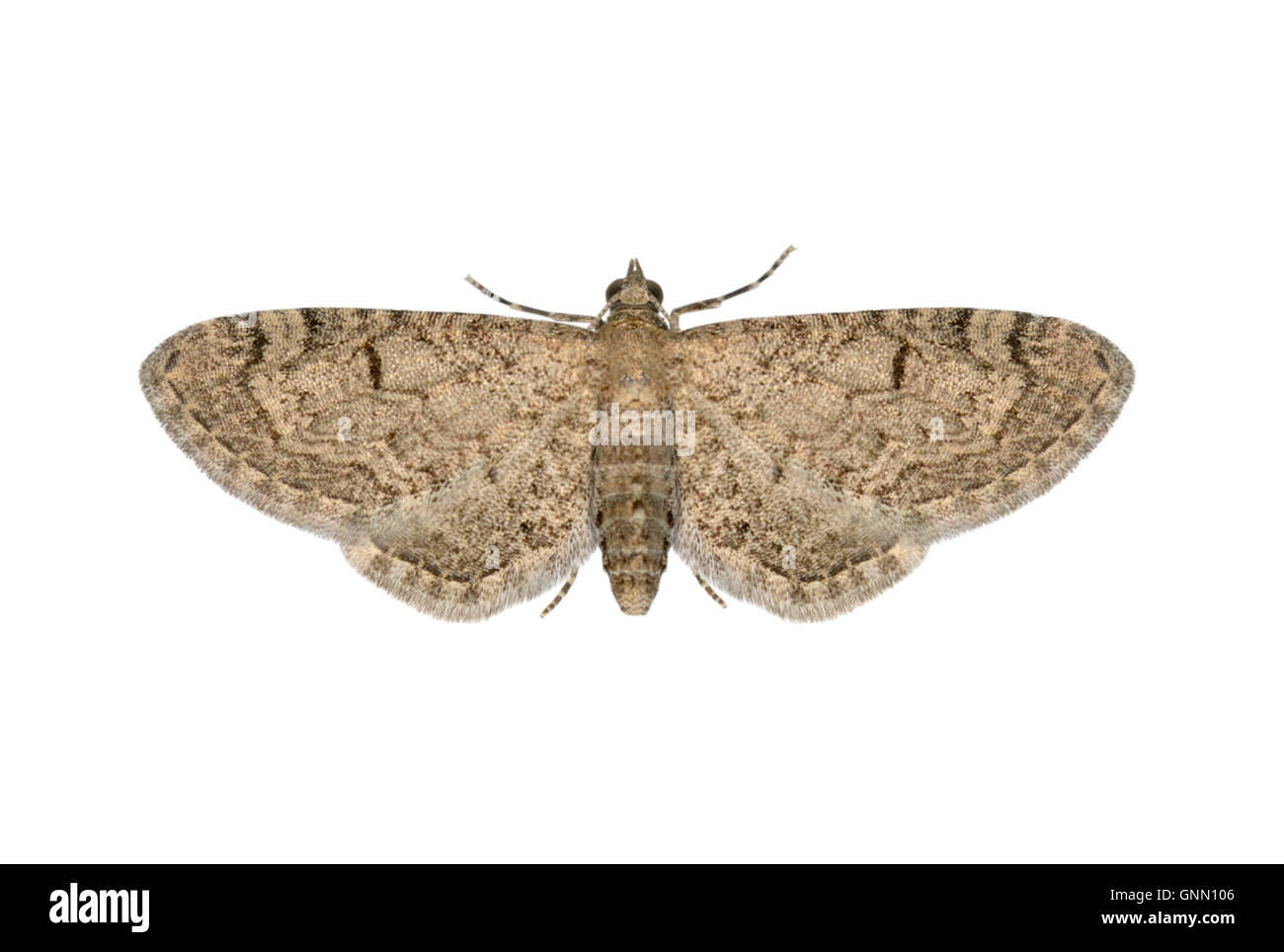 70 islands Cut Out Stock Images & Pictures - Alamy