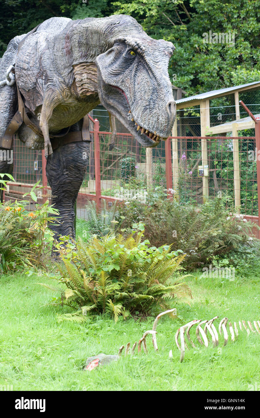 Captive T Rex Dinosaur behind electric fencing Stock Photo - Alamy