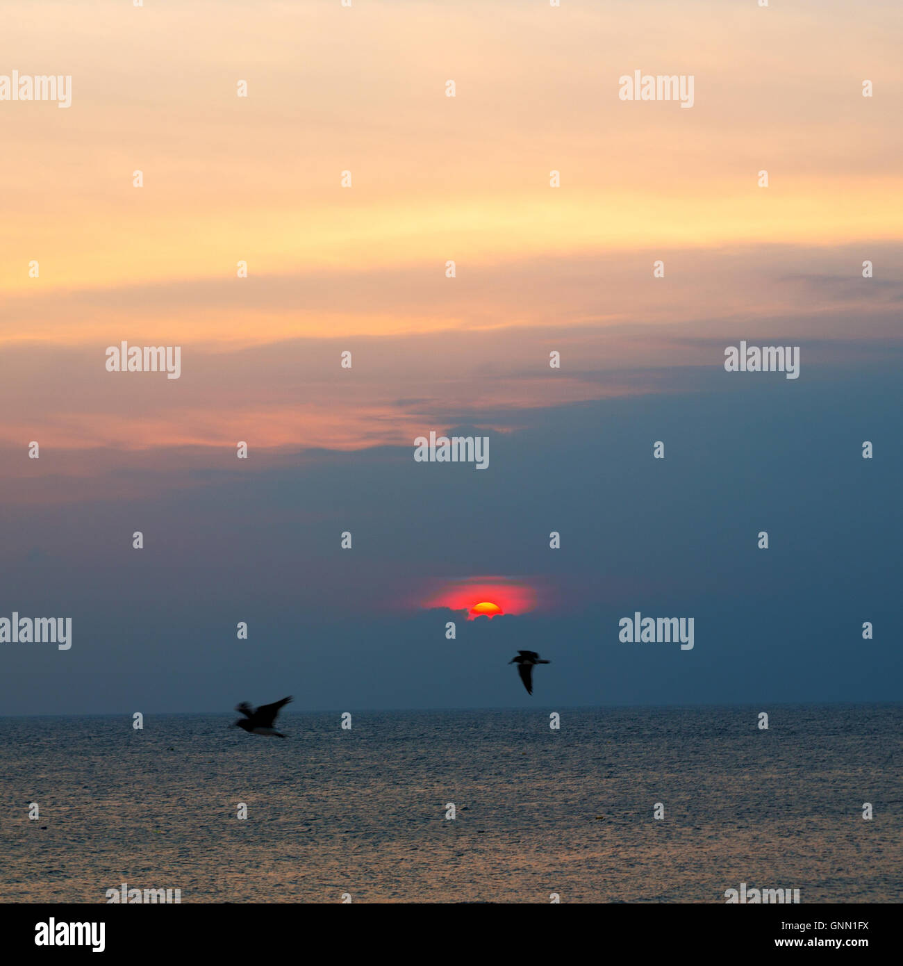 the blurred sun falling down arabian sea ocean in oman coastline Stock ...