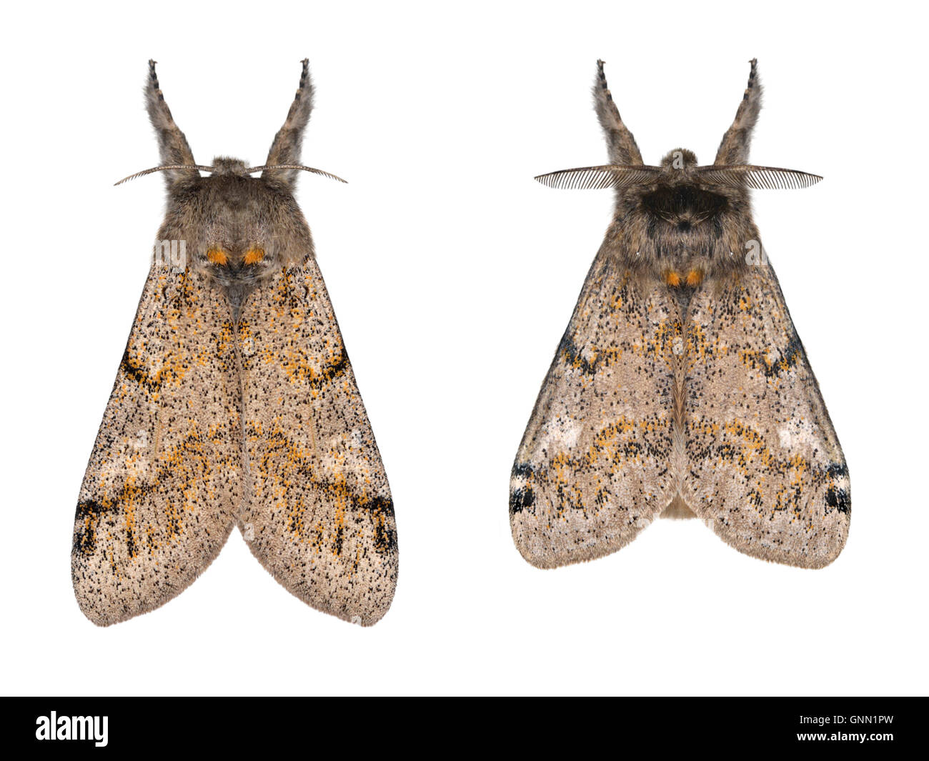 2027 Cut Out Stock Images & Pictures - Alamy