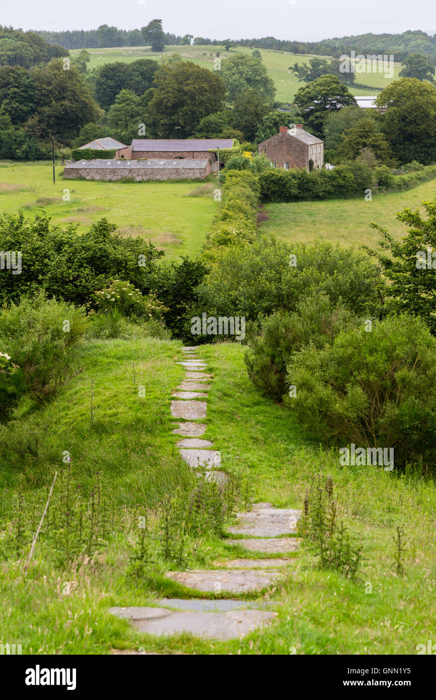 Steps by wall hi-res stock photography and images - Alamy