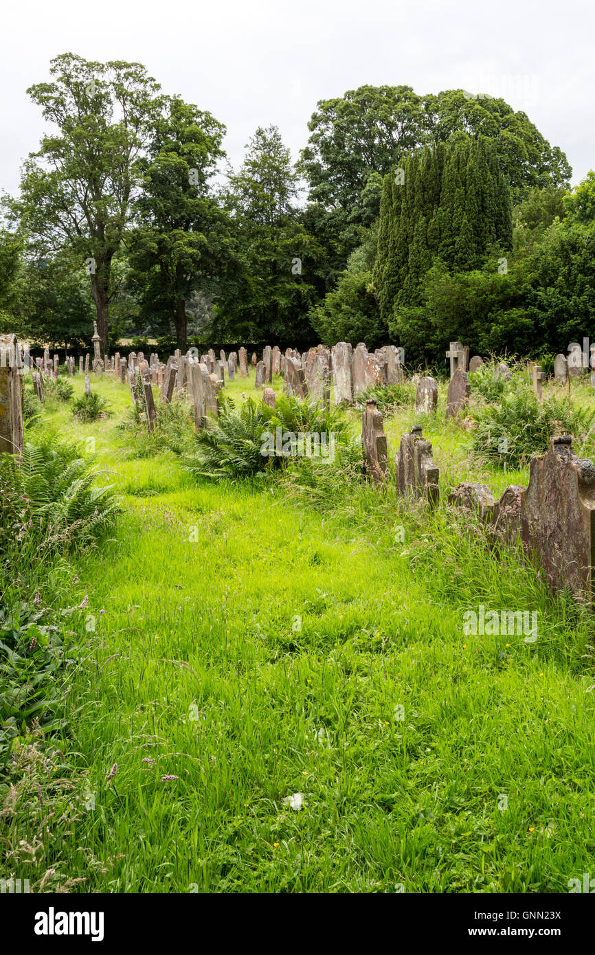 Anglican Cemetery Stock Photos & Anglican Cemetery Stock Images - Alamy
